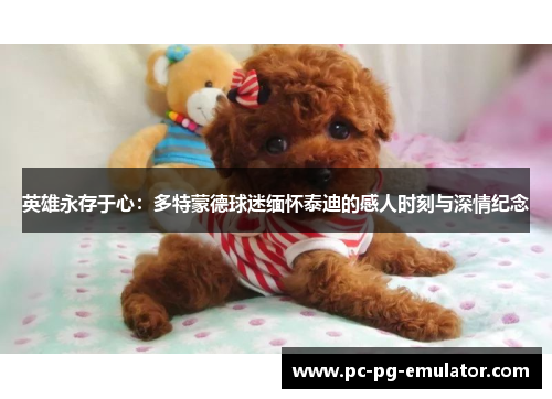 英雄永存于心：多特蒙德球迷缅怀泰迪的感人时刻与深情纪念 - PG电子| PG模拟器「PG试玩游戏」探索PG电子模拟器